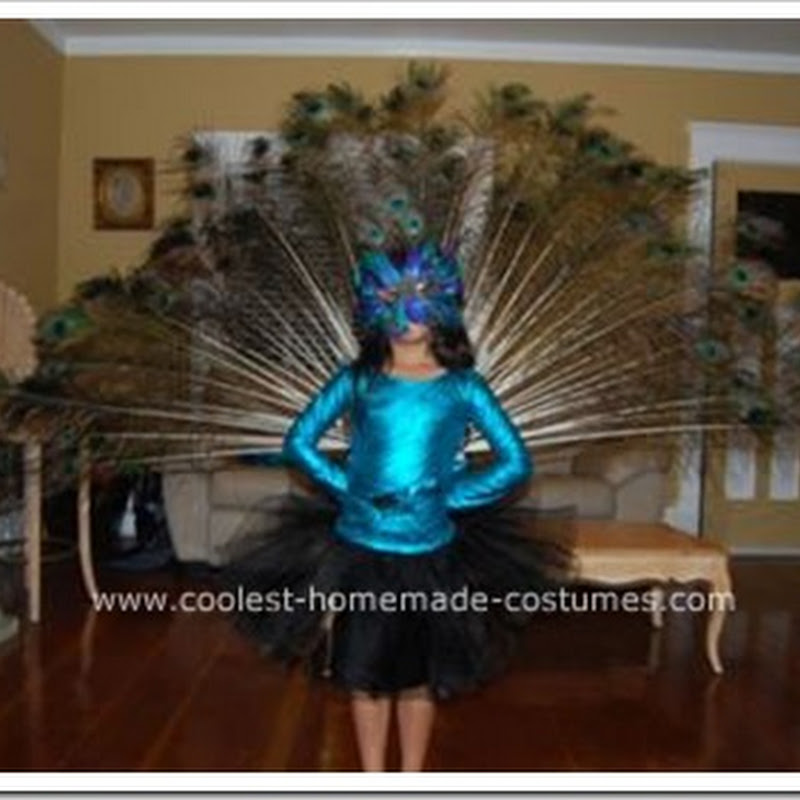Homemade Peacock Costume All Halloween
